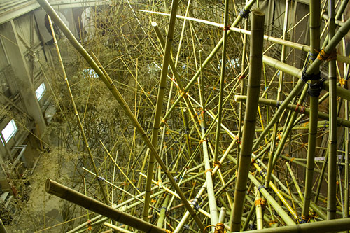 | Spotlight: Starn Studio: Big Bambuarchimorph