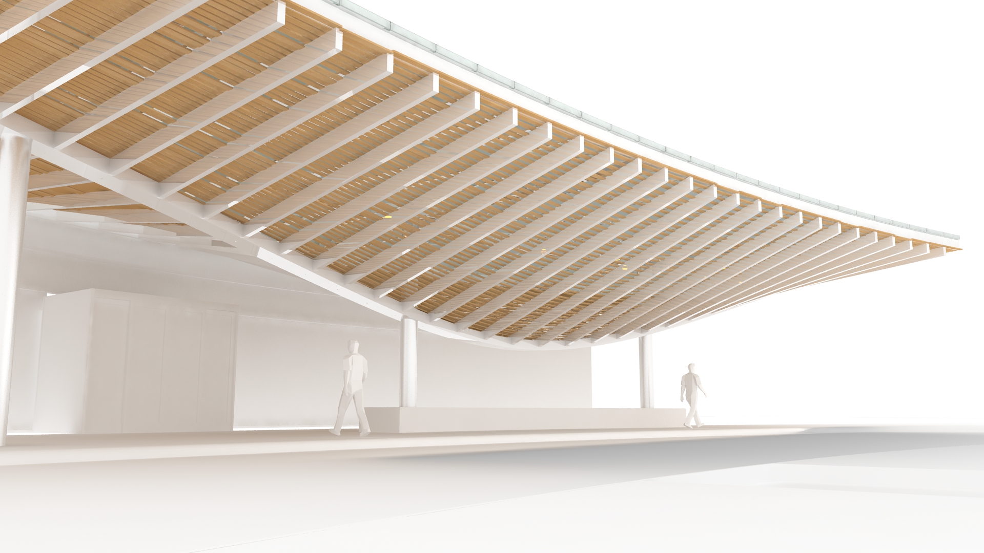 | Canopy Studyarchimorph